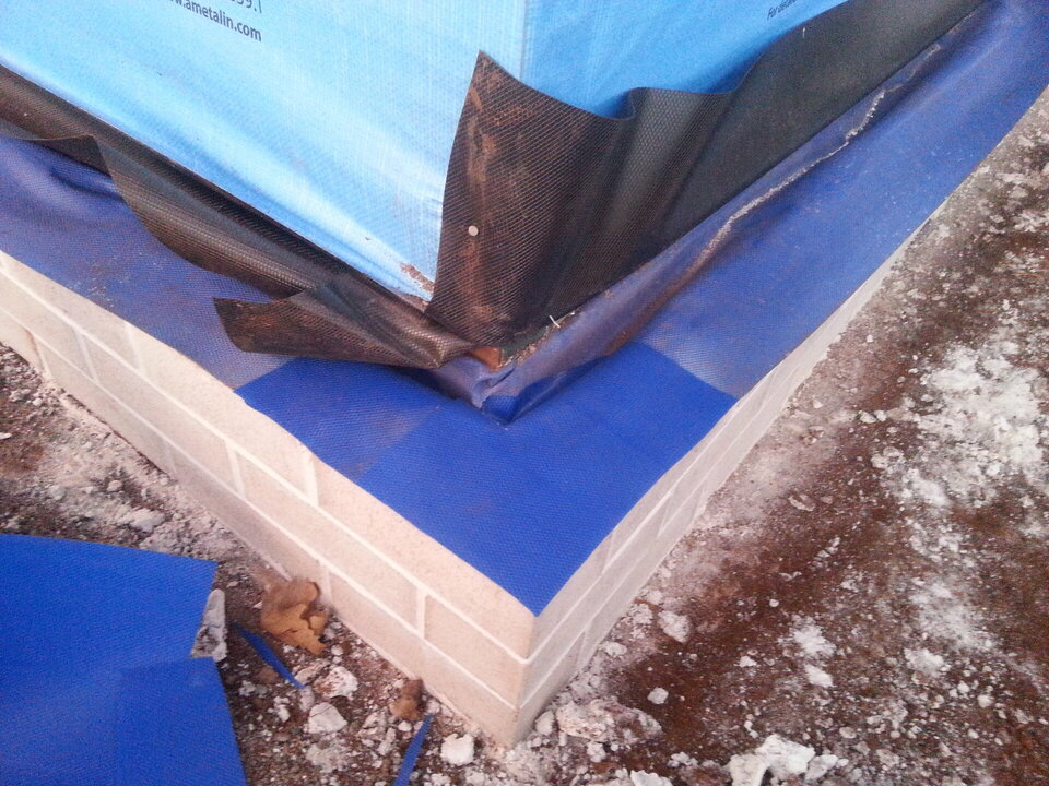 Termite Protection | CDI Pest Management